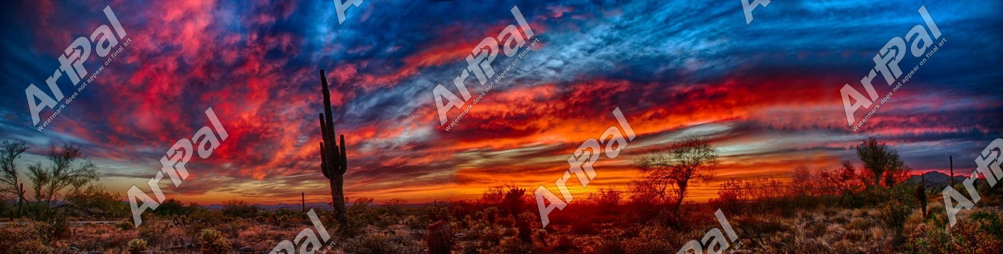 No Need To Worry - Rob Lopez Photography - Photography, Landscapes ...