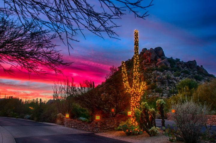 It's Beining to Look at Lot Like - Rob Lopez Photography - Photography ...