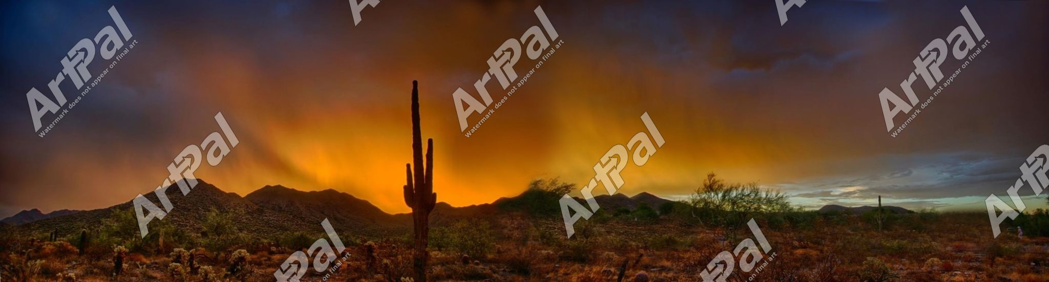 Lonely Days - Rob Lopez Photography - Photography, Landscapes & Nature ...