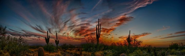 Rob Lopez Photography - Photography