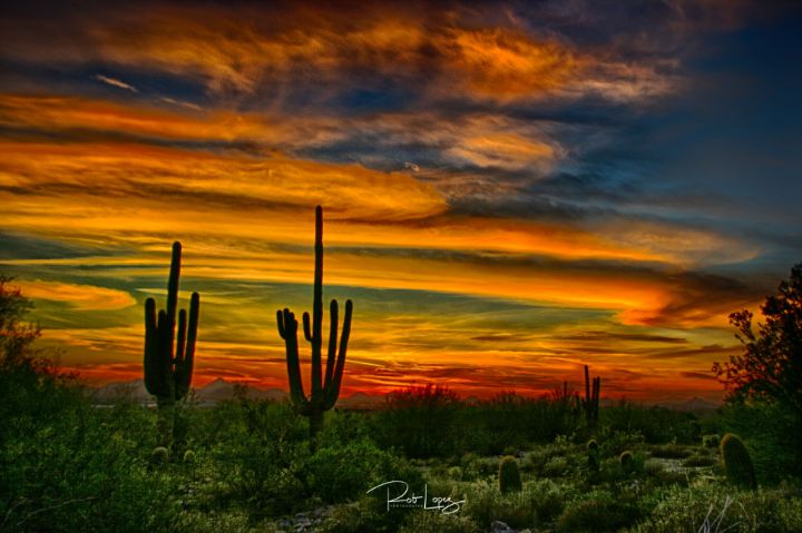 Winter Escape - Rob Lopez Photography - Photography, Landscapes ...