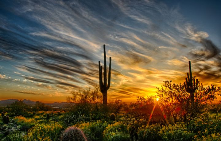 TGIF - Rob Lopez Photography - Photography, Landscapes & Nature, Desert ...