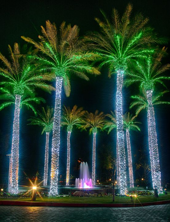 The Princess Resort - Scottsdale, AZ - Rob Lopez Photography ...