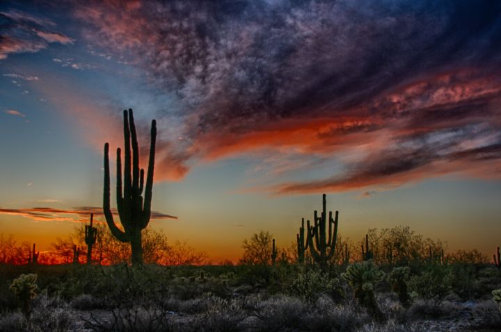 Final Day - Rob Lopez Photography - Photography, Landscapes & Nature ...