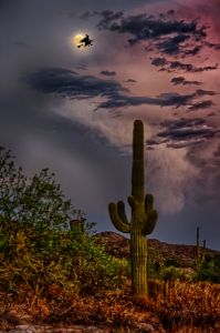 Rob Lopez Photography - Photography