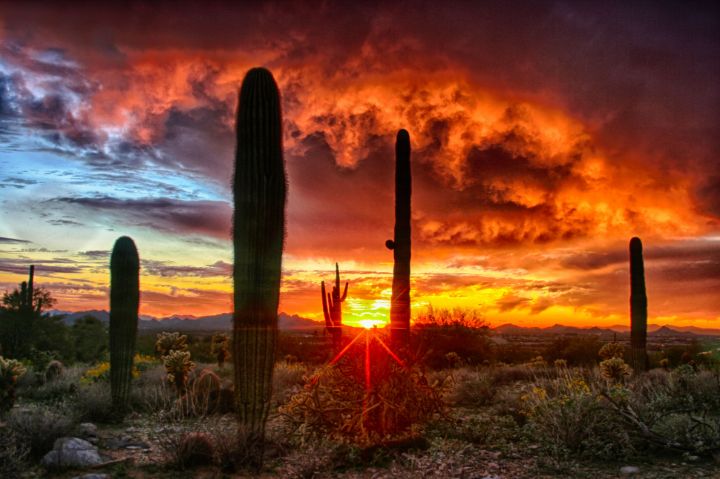 You've Been Living in Danger - Rob Lopez Photography - Photography ...