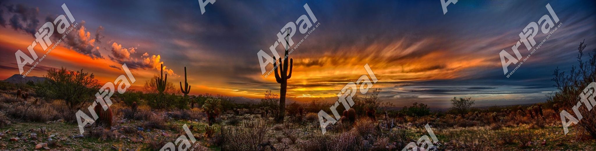 Winging It - Rob Lopez Photography - Photography, Landscapes & Nature ...