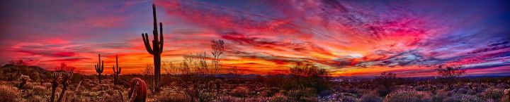 Rob Lopez Photography - Photography