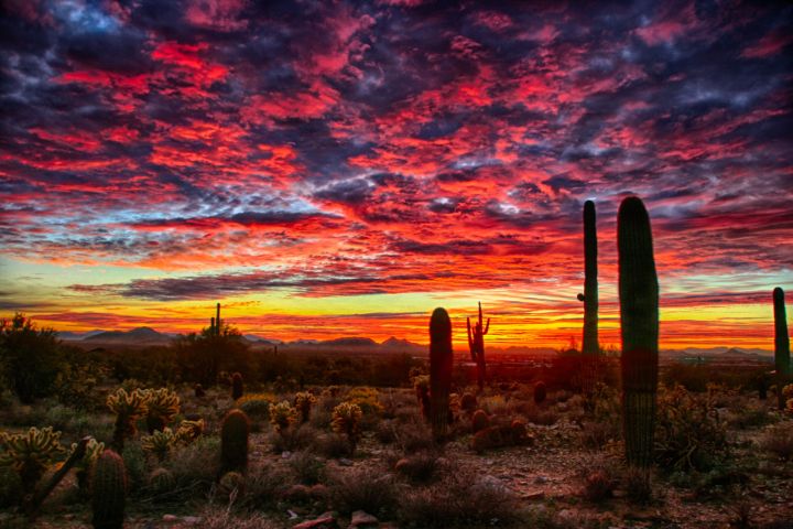 Take a Look and See - Rob Lopez Photography - Photography, Landscapes ...