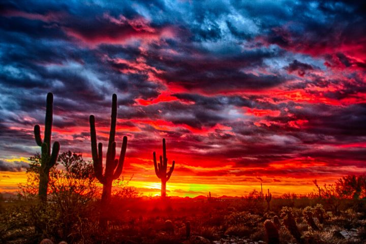 Step by Step - Rob Lopez Photography - Photography, Landscapes & Nature ...