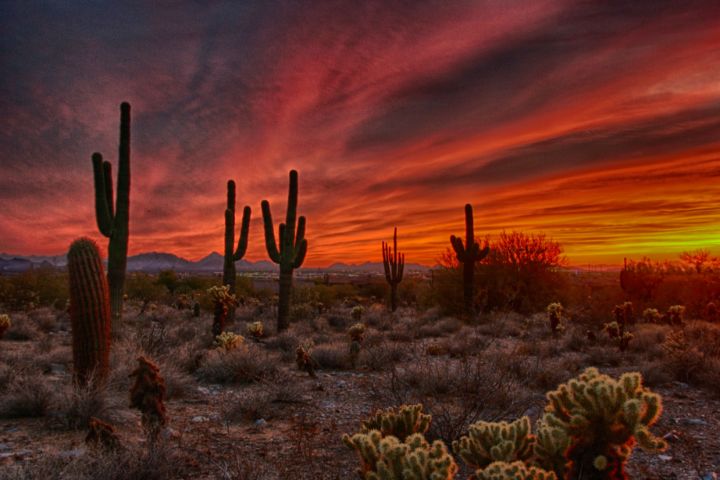 Blame it on The Night - Rob Lopez Photography - Photography, Landscapes ...