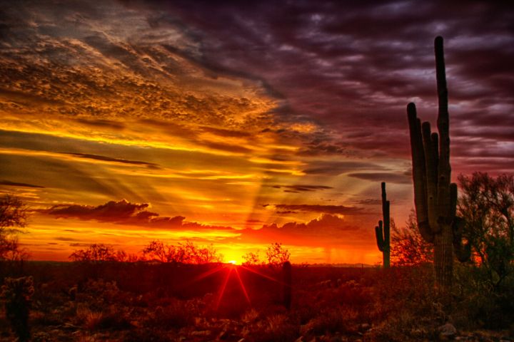 Live to See Another Day - Rob Lopez Photography - Photography ...