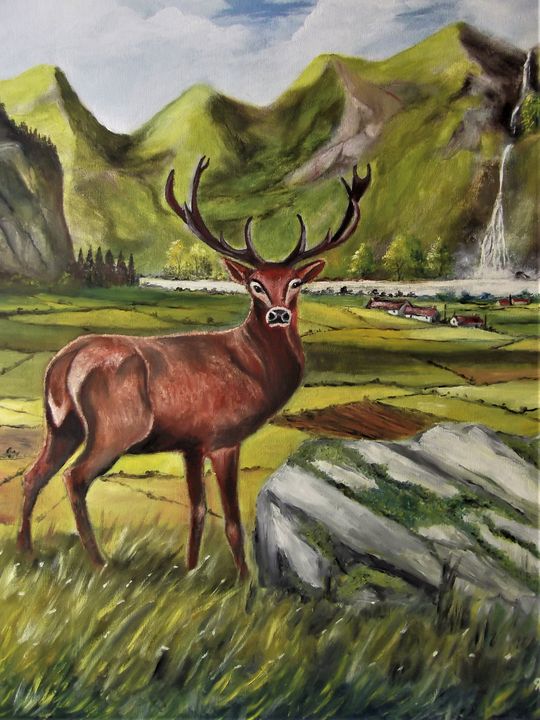 TWELVE POINT STAG - Patron pictures - Paintings & Prints, Landscapes ...