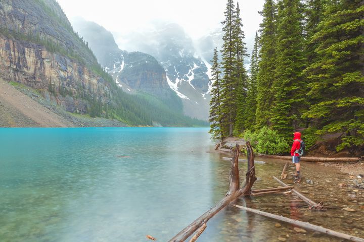 stand with nature 2 - Jonathan Nguyen - Photography, Landscapes ...