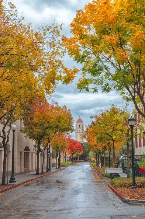 stanford in autumnal rain 2 - Jonathan Nguyen - Photography, Landscapes ...