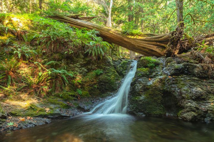 Rustic falls - Jonathan Nguyen - Photography, Landscapes & Nature ...