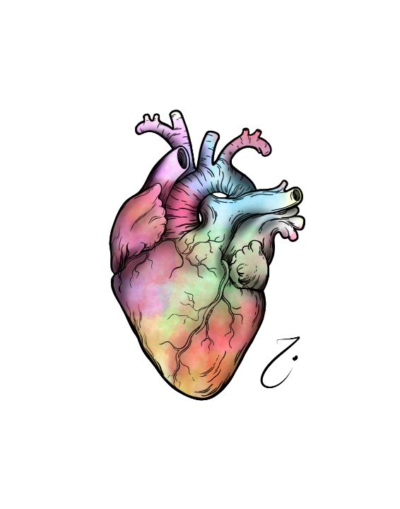 Heart Art - My Healing Corner - Drawings & Illustration, Science ...