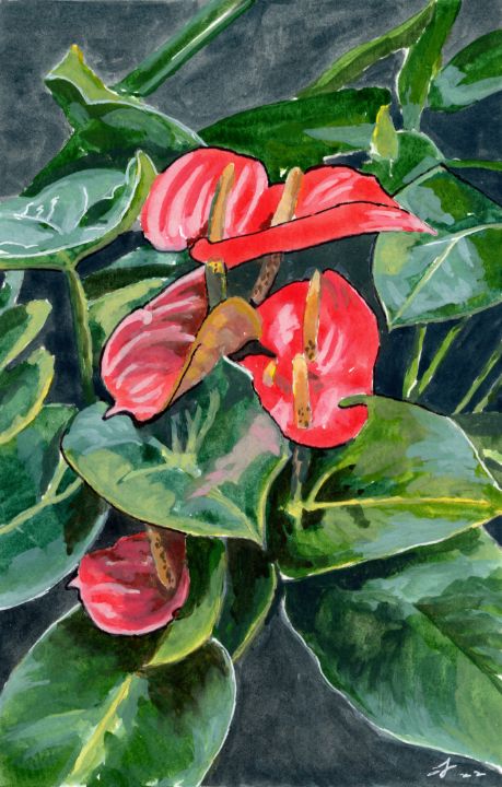 Remembrance - Tom Jenkins Watercolors - Paintings & Prints, Flowers ...