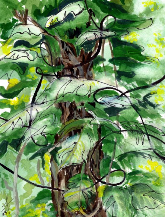Entanglement - Tom Jenkins Watercolors - Paintings & Prints, Landscapes ...