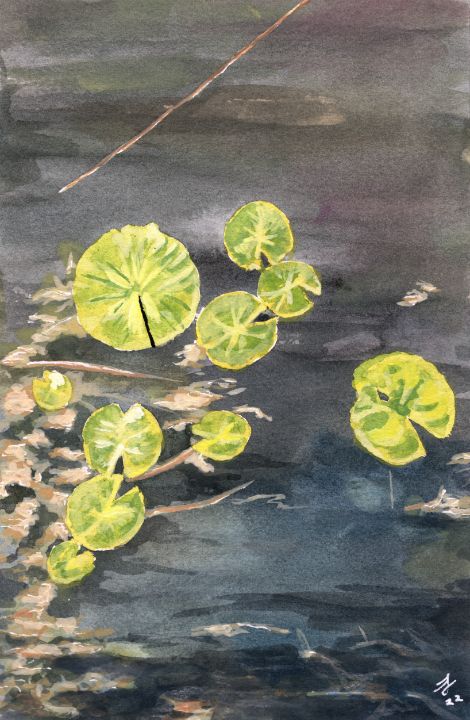 Lily Pads #1 - Tom Jenkins Watercolors - Paintings & Prints, Landscapes ...