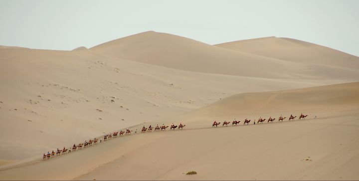 Camel Caravan - Larry A Stevens Photographics - Photography, Landscapes ...