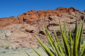 T. Reinhard - Photography