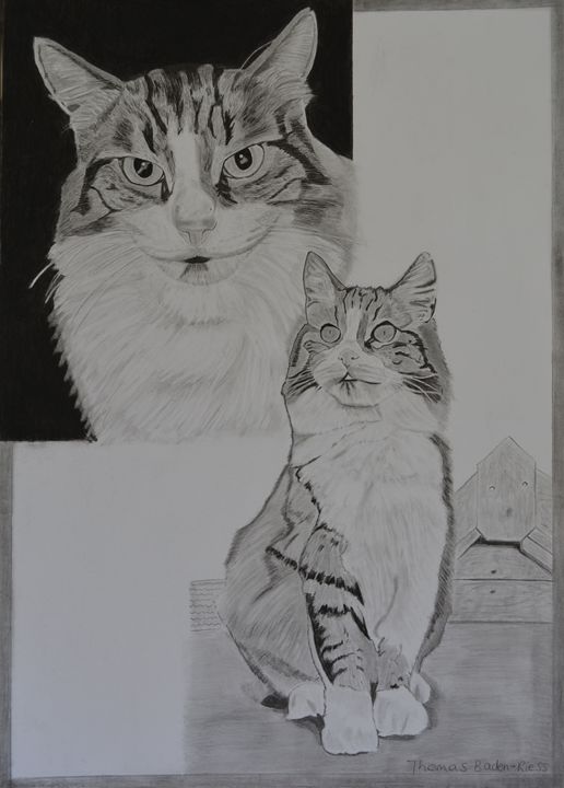 The Delightful Mr Neelix - Thomas Baden-Riess - Drawings & Illustration ...