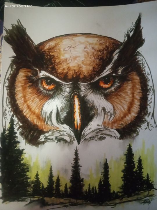 David Carroll aka DC'S - Drawings & Illustration