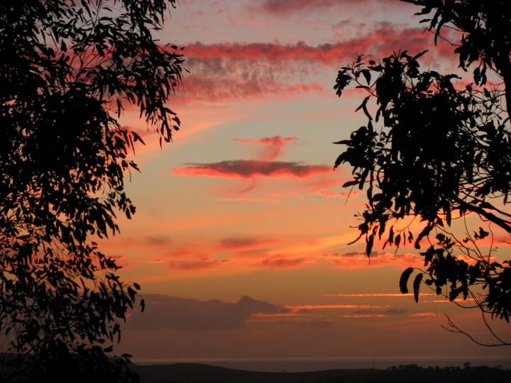 Gumtree Sunset - SCS Creations - Photography, Landscapes & Nature ...