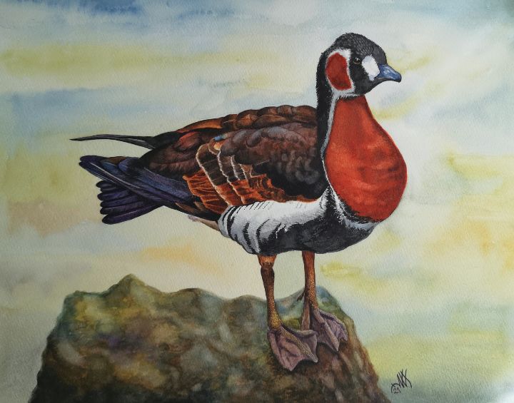 Red-breasted goose - Nikoela Valter Art - Paintings & Prints, Animals ...