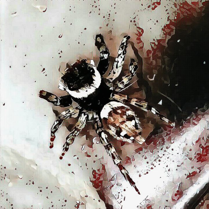 Small spider - Minkim - Digital Art, Animals, Birds, & Fish, Bugs ...