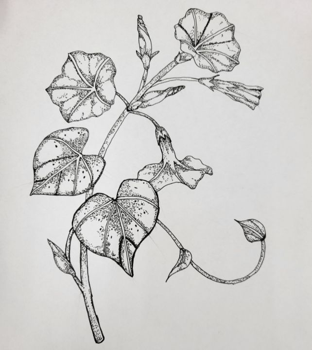 Stipple art flowers - Roses art - Drawings & Illustration, Flowers ...