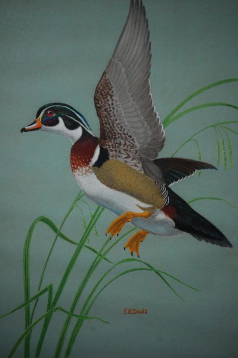 Francis W. Davis - Catskill Naturalism - Paintings & Prints