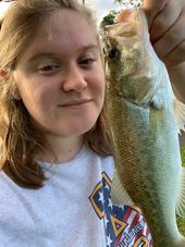 C Moore - Digital Art