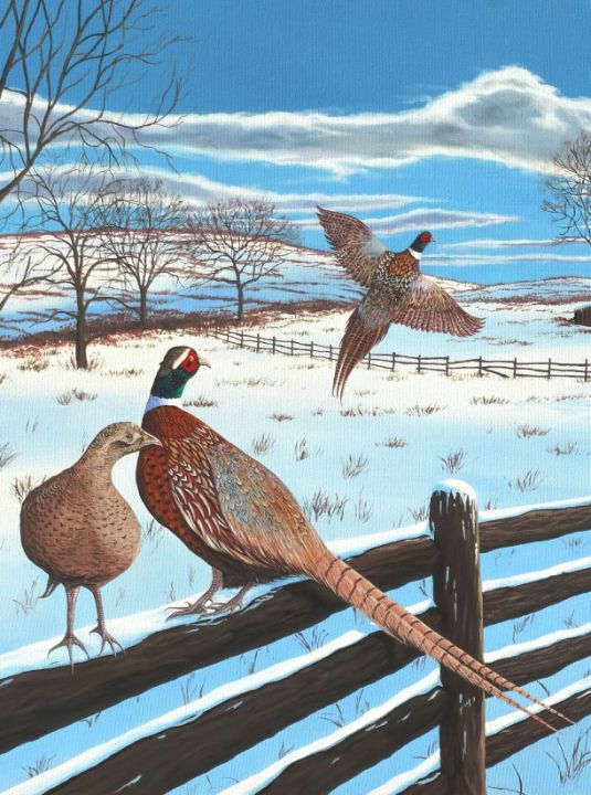 Pheasants in Winter #2 - Mike Bennett Artist - Paintings & Prints ...