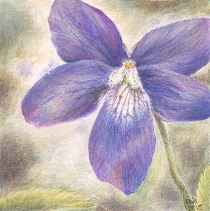 Violet - Pencils by Pris - Drawings & Illustration, Flowers, Plants ...