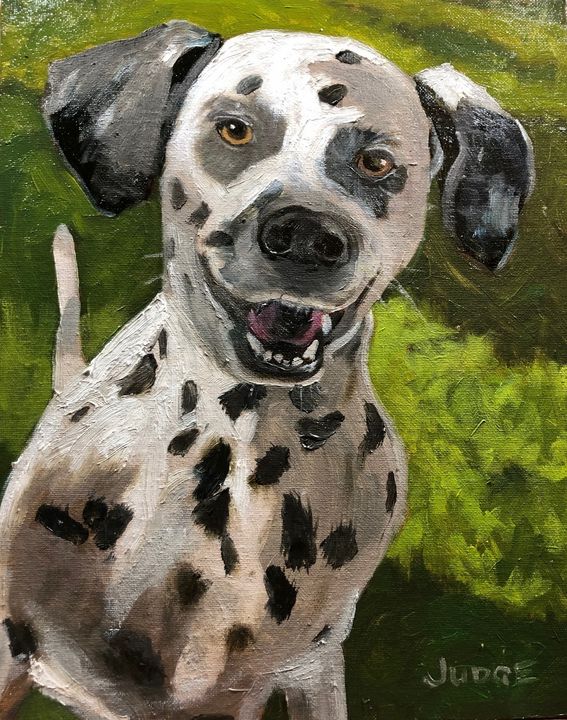 Bloom - Tim Judge Fine Art - Paintings & Prints, Animals, Birds, & Fish ...