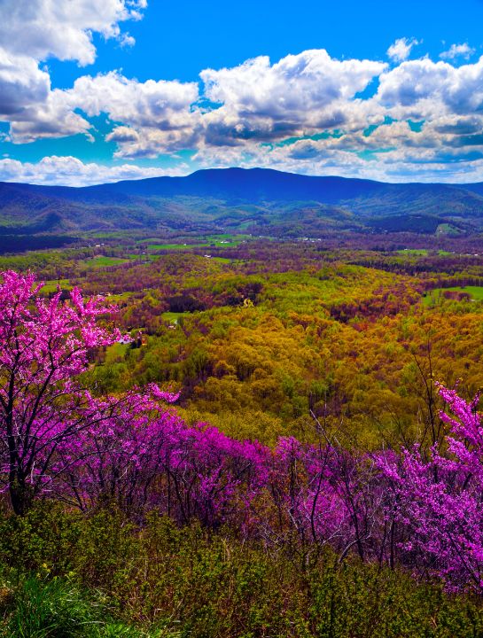 Broken Soldier - Photography