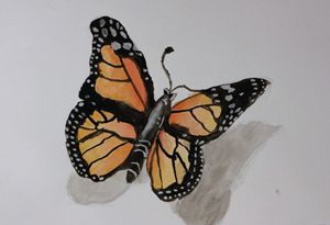 Sunset on the sea - EKH Drawing - Paintings & Prints, Landscapes ...