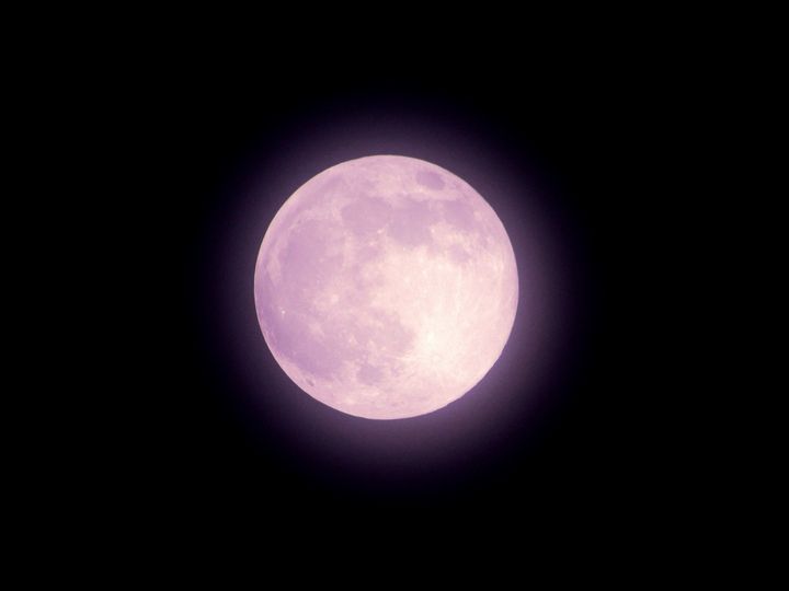 Pink Full Moon - Lavender's Gallery - Photography, Astronomy & Space ...