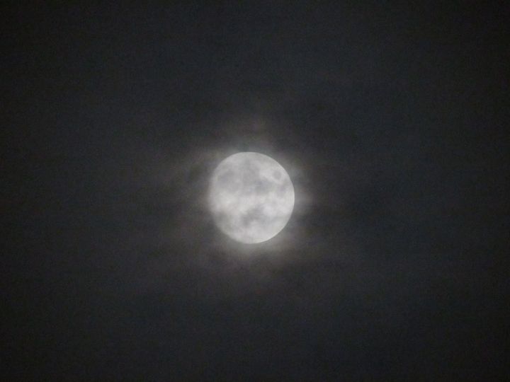 Hazy moon - Lavender's Gallery - Photography, Astronomy & Space, Moon ...