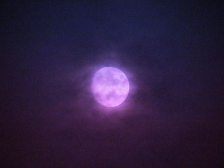 Moon Purple Haze