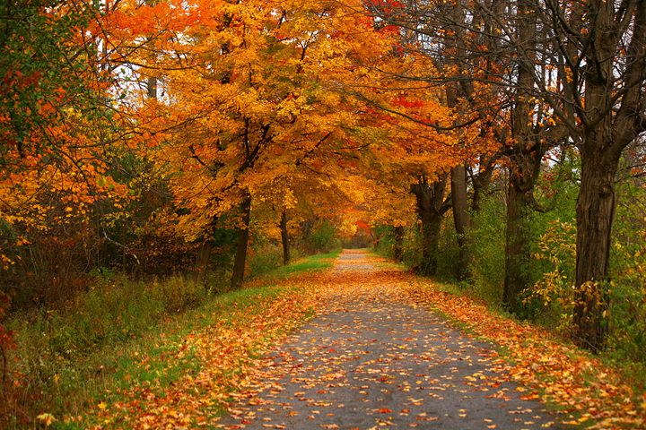 Erie Canal in Autumn - Old Farmhouse Creations - Photography ...