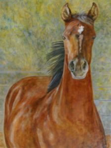 Kate Walter - Paintings & Prints