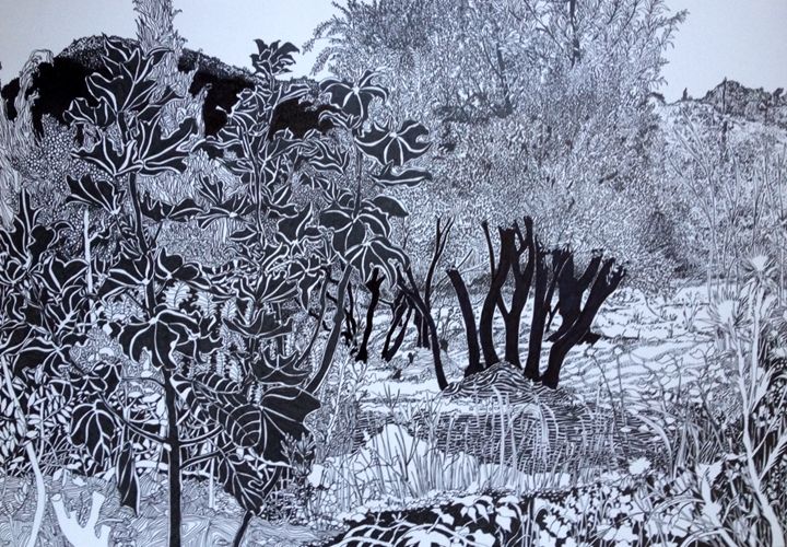 Fig Trees - aRDart - Drawings & Illustration, Landscapes & Nature ...