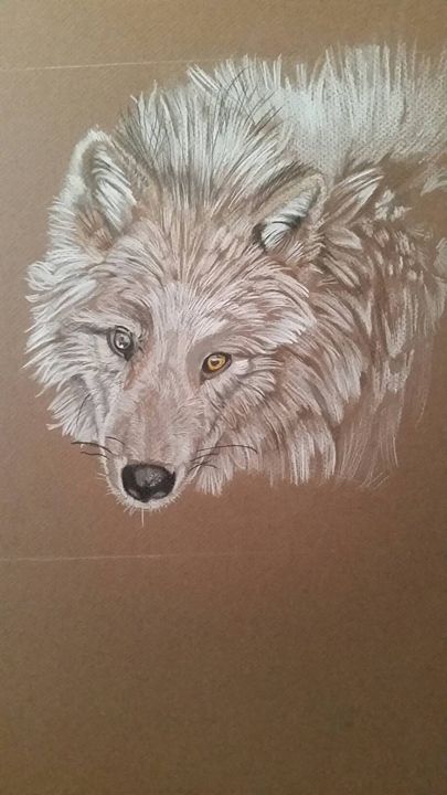 Wolf - Art by stephanie - Drawings & Illustration, Animals, Birds ...