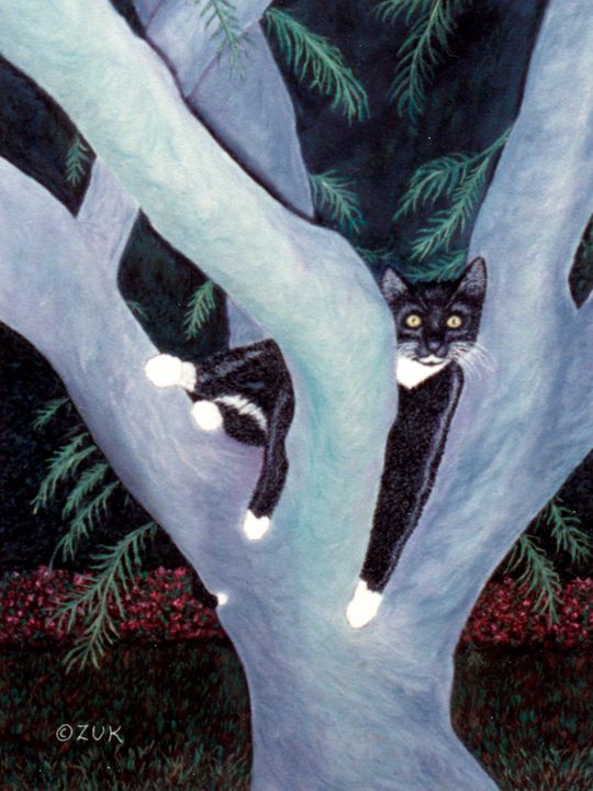 Tuxedo Cat in Mimosa Tree - Art by Karen Zuk Rosenblatt - Paintings ...
