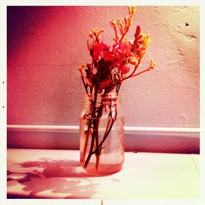 Tommy Foster - Photography, Drawings & Illustration