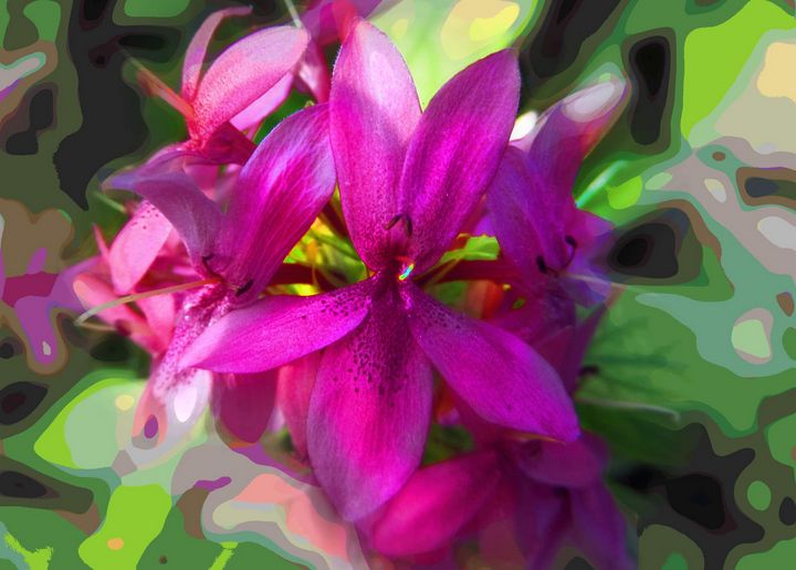 FLOWER 222 - Pepsiart - Photography, Flowers, Plants, & Trees, Flowers ...