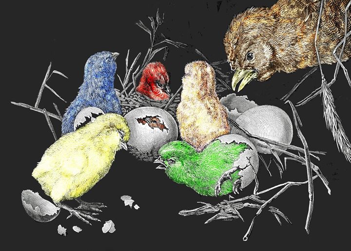 The hatching of chicks. - Neko92vl - Drawings & Illustration, Animals ...